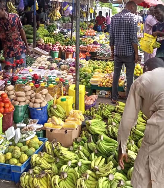 Imani Industries Ltd